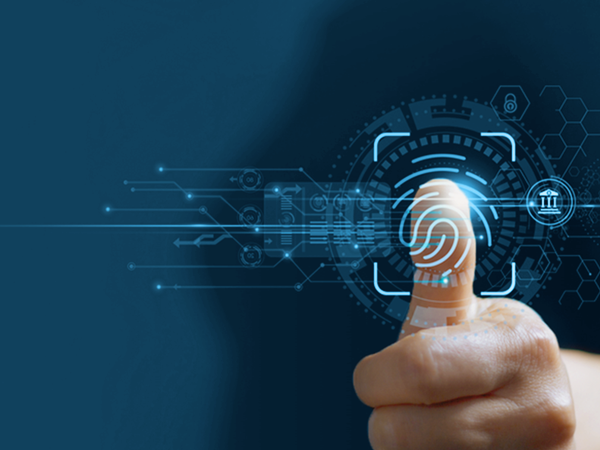 Infotek - IT Resource Management and Consulting